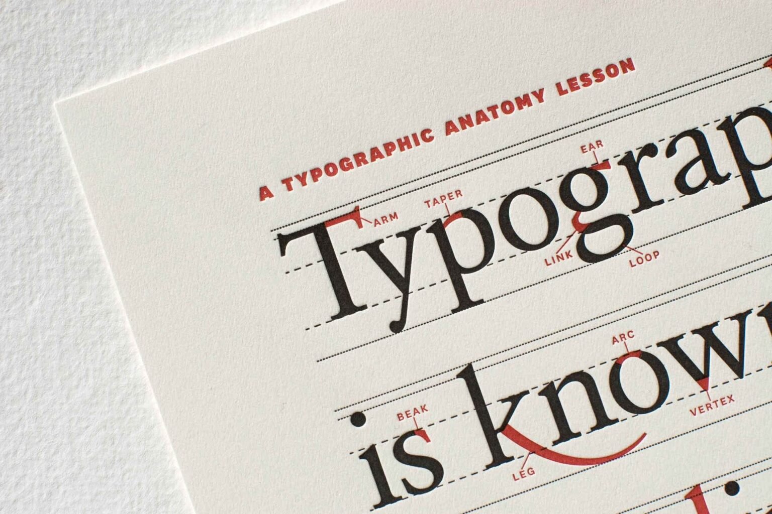 The importance of typography in graphic design - STEPUPSLIDERZ